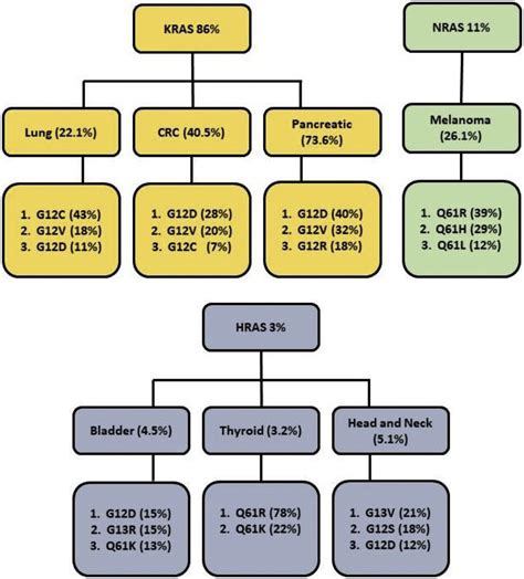 Types Of Ras Mutations At Scott Liles Blog