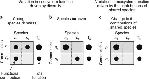 Quantifying The Effect Of Diversity On Ecosystem Functioning Ac Download Scientific Diagram