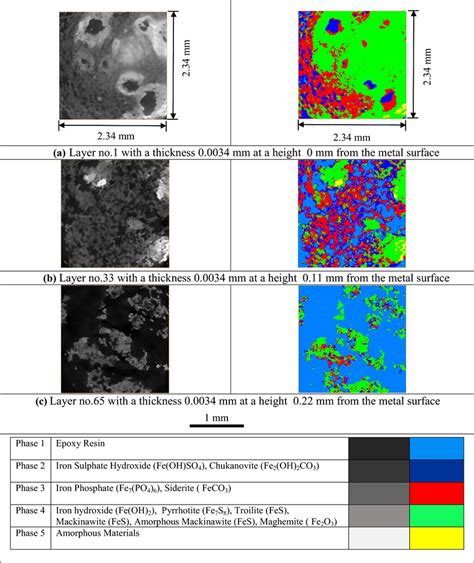 2d filtered and segmented µct image slices of biotic sample illustrate