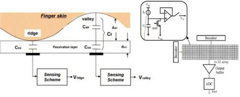 Fingerprint Sensors Face Off Capacitive Vs Optical