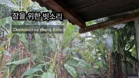 아침의 아름다운 빗소리와 부드러운 천둥 Asmr 힐링 Youtube