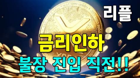 리플 금리인하 반감기 수혜 기관 본격적인 자금 유입 이제 곧 불장 진입 저점 매수 마지막 기회 Youtube