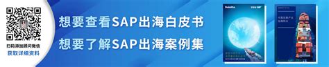 Sap系统支持哪几种语言和本地化版本sap泰国sap越南sap欧洲sap东南亚