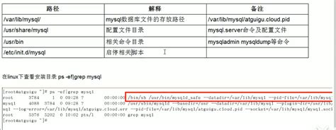 MySQLsql调优基础 sql调优的基础 CSDN博客