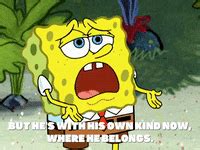 Sad Spongebob Meme S Find And Share On Giphy