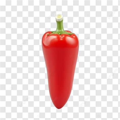 Red Pepper Model Illustration Red Pepper Model Illustrated Tutorial