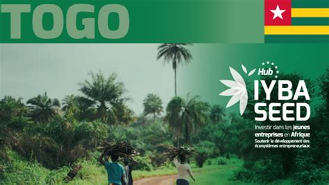 Entrepreneurial Ecosystem Diagnostic Togo Iyba Seed Hub