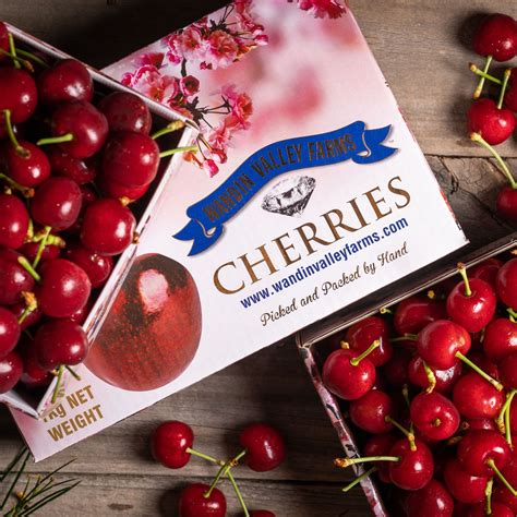 Wandin Valley Farms Our Delicious Sweet Pixie Cherry Plums Are In