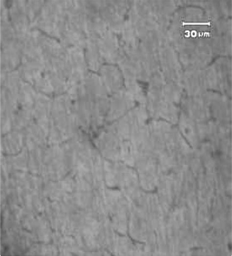 Optical Micrograph Of A Al6061 Alloy B Mmc Al6061 9wt Sic 1wt Download Scientific