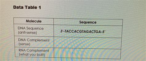 Solved Data Table 1 Sequence Molecule Dna Sequence