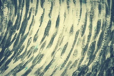 무료 이미지 나무 자연 모래 지저분한 추상 화이트 복고풍의 햇빛 조직 잎 웨이브 바람 늙은 도시의 브러시 무늬 녹색 반사 튀김 색깔