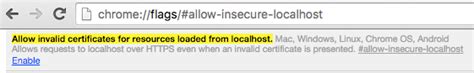 Allowing Self Signed Certificates On Localhost With Chrome And Firefox
