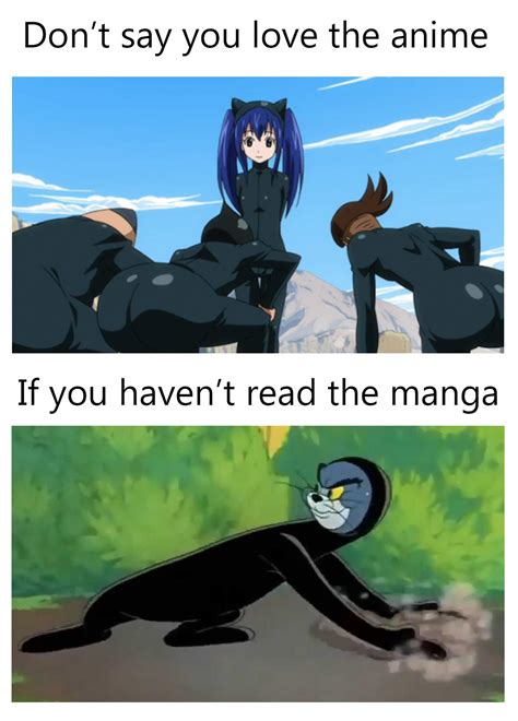 Dont Say You Love The Anime R Fairytail