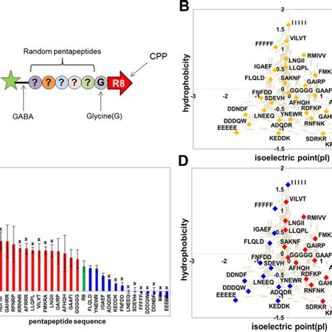 Schematic Representation Of Peptide Array Based Intracellular