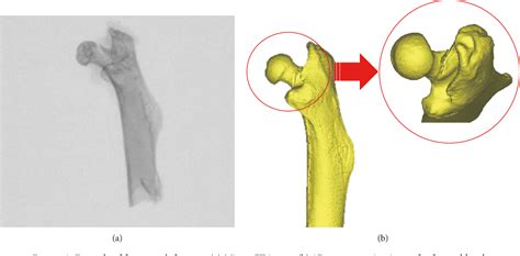 Figure 8 From Elastic Modulus Of Osteoporotic Mouse Femur Based On
