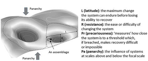 Schematic Depiction Of A Basin Of Attraction Source Adapted From