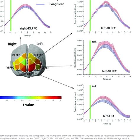 Cortical Activation In Relation To The Effect Of Stroop Interference