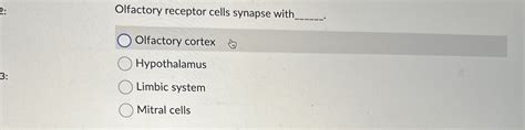 Solved Olfactory Receptor Cells Synapse Witholfactory