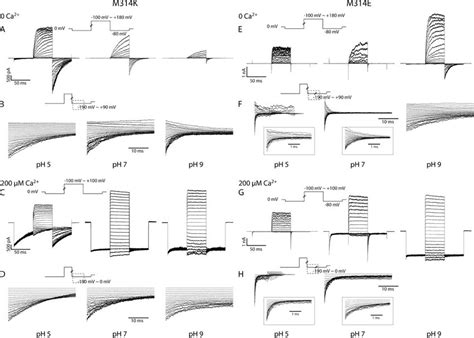 Ad Current Traces In Response To Activation And Deactivation Voltage Download Scientific
