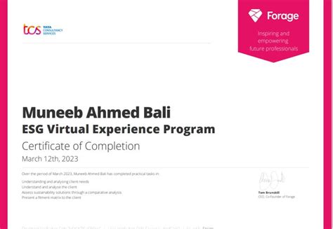 Muneeb Ahmed Bali On Linkedin Tcs Forage