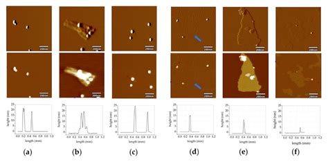 Applied Sciences Free Full Text Theranostic Nanoplatforms Of