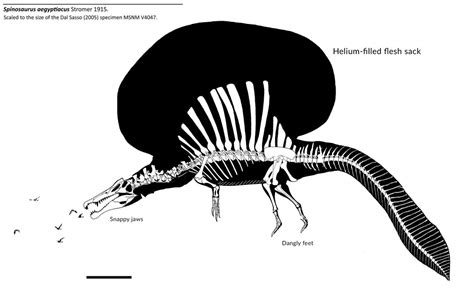 Accurate Spinosaurus Reconstruction Fandom