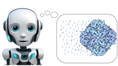 What Do Proteins Even Look Like Decoding Proteins