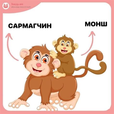 Амьтдын үр төлийн нэршлийг Бага ангийн багш нартаа