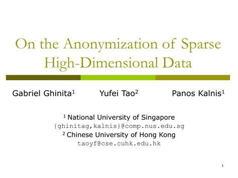 ppt on the anonymization of sparse high dimensional data powerpoint