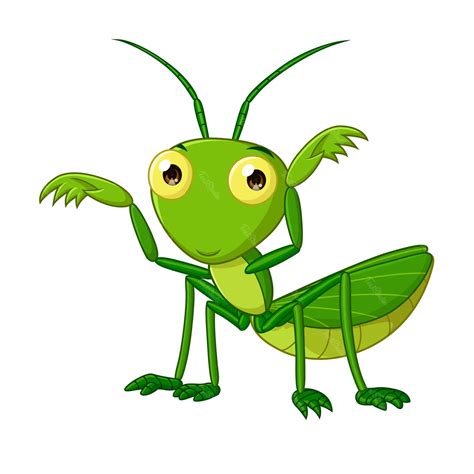 Grasshopper Illustrator Vectors And Photoshop Psd Files Free Download