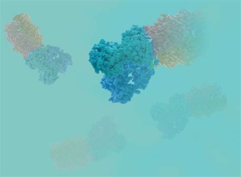 Custom Mhc Complex Service Monomers And Tetramers Kactus