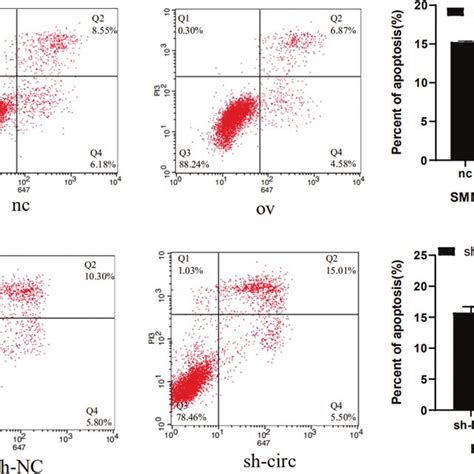 Effects Of Hsacirc0016863 On Apoptosis In Hcc Cells A After The