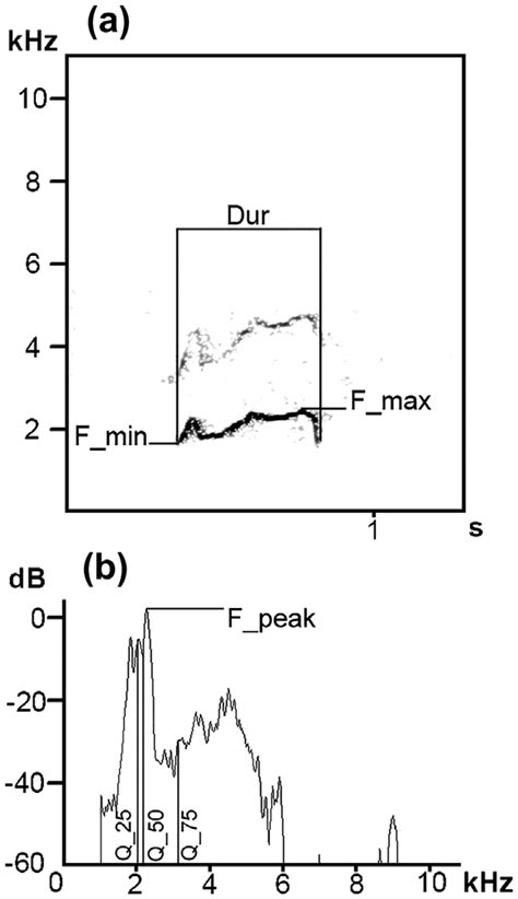 The Spectrogram A And Mean Power Spectrum B Of Siberian Crane Chick