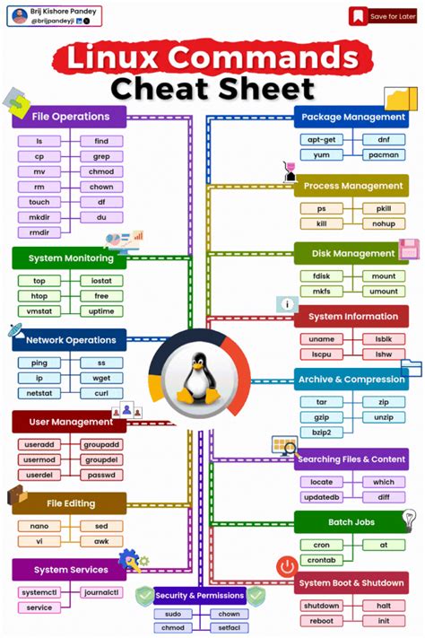Mastering Linux 🐧 Can Truly Set You Apart In The Tech World Whether