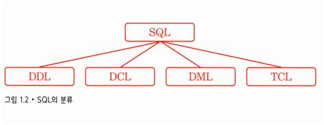 Db Sql 문법의 분류 Brain Backup