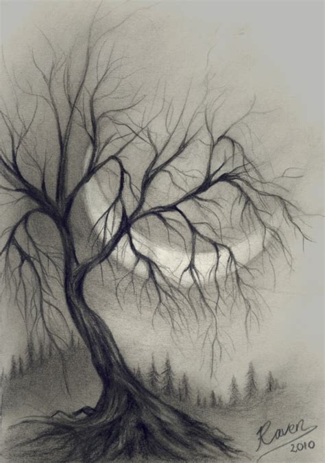Tree In Charcoal Unedited By Wyldraven On DeviantArt