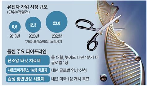 툴젠 `유전자가위`로 난소암 정복 나선다 매일경제