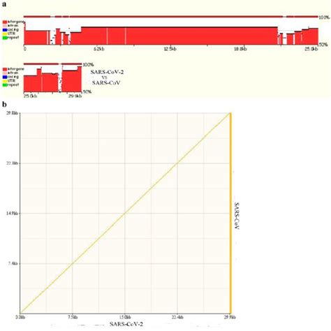 A Genomic Sequence Alignment Between Sars Cov 2 And Sars Cov B Dot