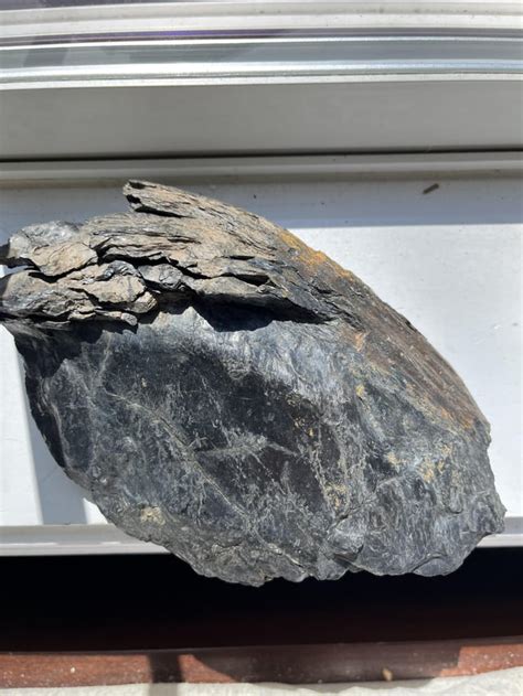 Fossil Or Other Mineralization Swva R Fossilid