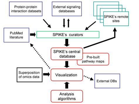 An Overview Of Spike This Scheme Describes The Key Components Of The