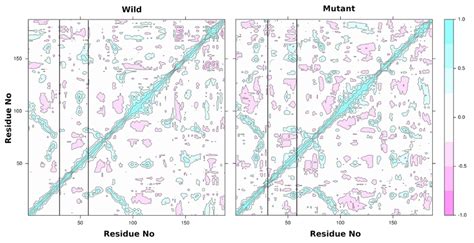 figure s8 dynamic cross correlation maps dccms of the crm197 for a