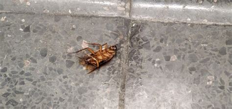 Uic Email Expiration R Uichicago