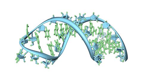 The Rna Dna World And The Emergence Of Dna Encoded Heritable Traits