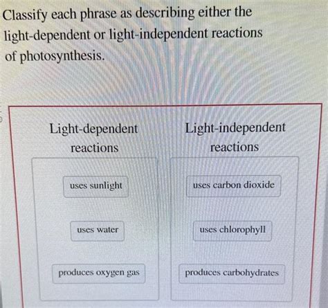 Solved Classify each phrase as describing either the | Chegg.com