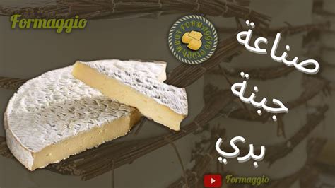 الفرق بين جبنة بري و جبنة كامامبير كيفيةصنعالجبنة Camembert Brie