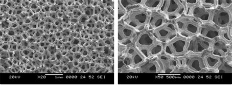 Ceramic And Metal Foams Ultramet