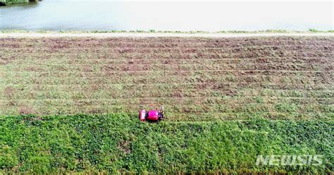 보성소식 농어촌공사 전남 저수지 경사면 제초작업 지원
