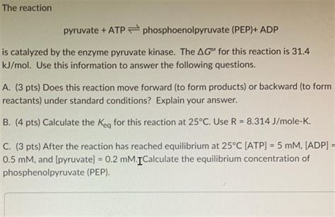 Solved The Reaction Pyruvate Atp Phosphoenolpyruvate