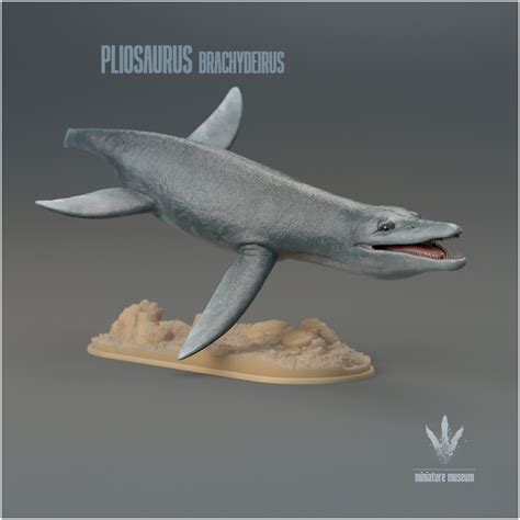 3d Printable Pliosaurus Brachydeirus The More Lizard By Miniature Museum