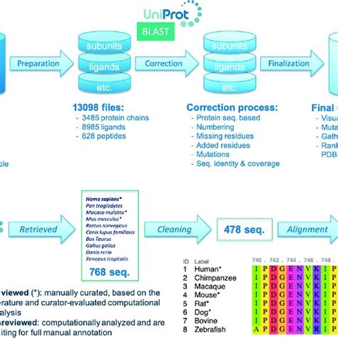 Databases Preparation A Sequence Database Preparation B 3d Structure